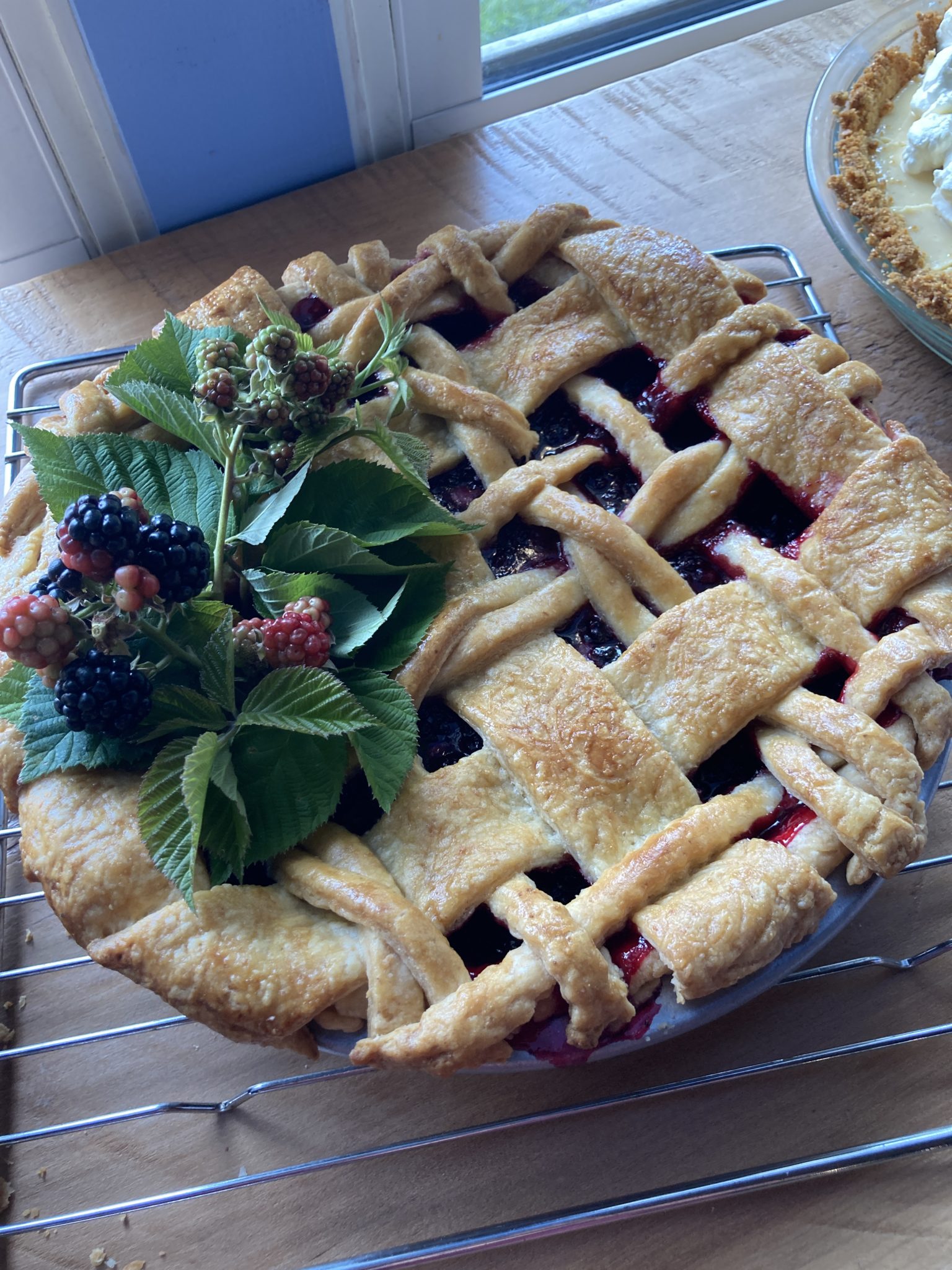 Other pies featured strawberries, rhubarb, blueberries, watermelons ...
